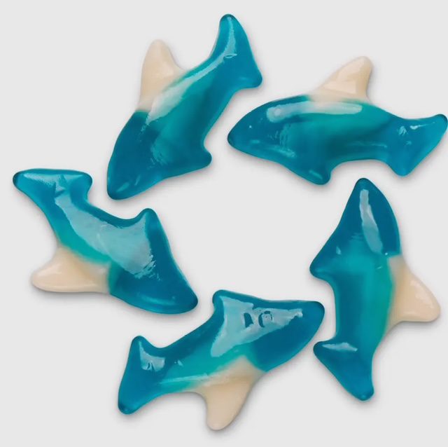 O’Shea’s Blueberry Shark Gummy Gift Box - O’Shea’s Candies